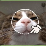 - TinyTap , The Blog!